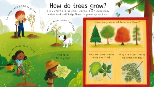 Usborne Lift-The-Flap First Questions and Answers Why Do We Need Trees ...
