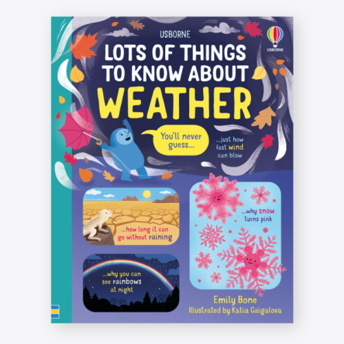 Usborne Lots Of Things To Know About Weather - Daisy Daisy