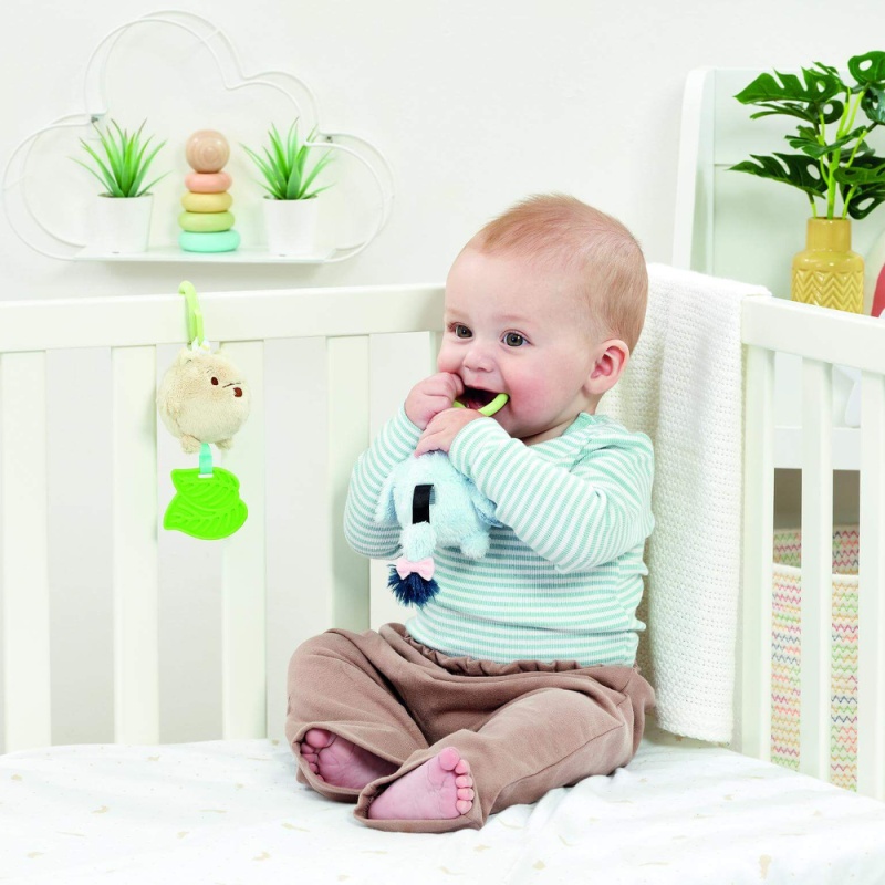 Disney Attachable Eeyore Rattle & Crinkle - Daisy Daisy