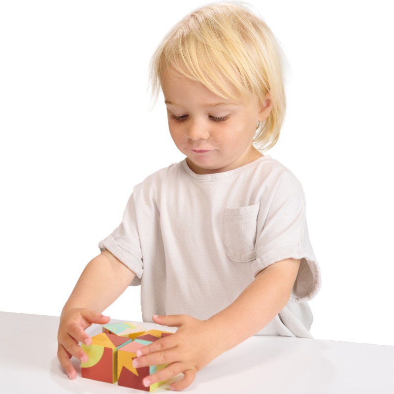 Mentari Toy Colour Blocks - Daisy Daisy