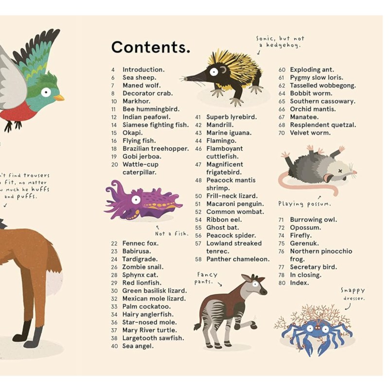 The World's Most Ridiculous Animals Book by Philip Bunting - Daisy Daisy