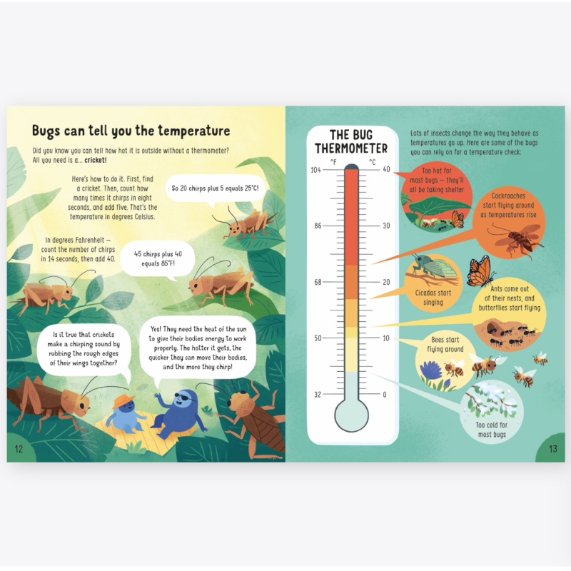 Usborne Lots Of Things To Know About Weather - Daisy Daisy