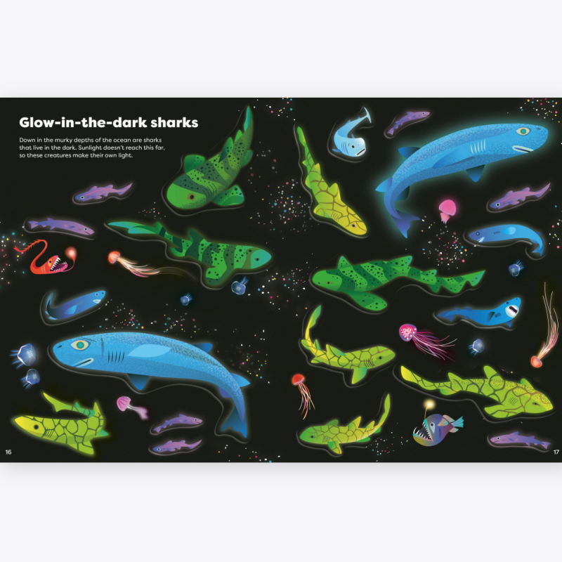 Usborne Big Sticker Book of Sharks - Daisy Daisy