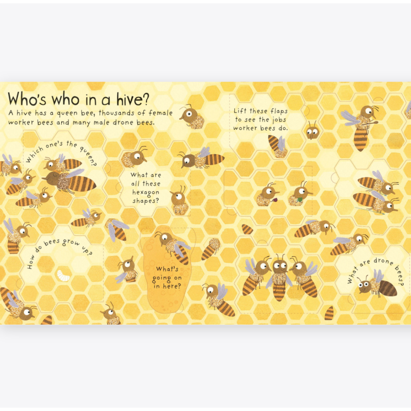 Usborne Lift-The-Flap First Questions and Answers Why Do We Need Bees ...