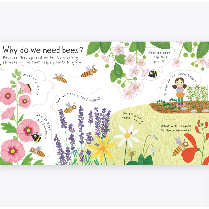 Usborne Lift-The-Flap First Questions and Answers Why Do We Need Bees ...