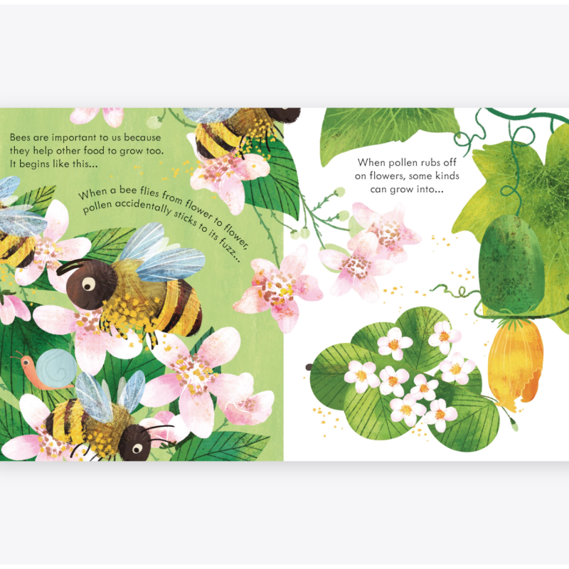 Usborne Peep Inside A Beehive - Daisy Daisy