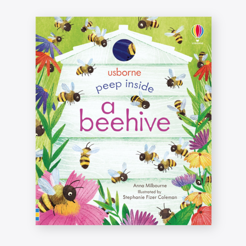 Usborne Peep Inside A Beehive - Daisy Daisy