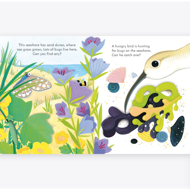 Usborne Peep Inside The Seashore - Daisy Daisy