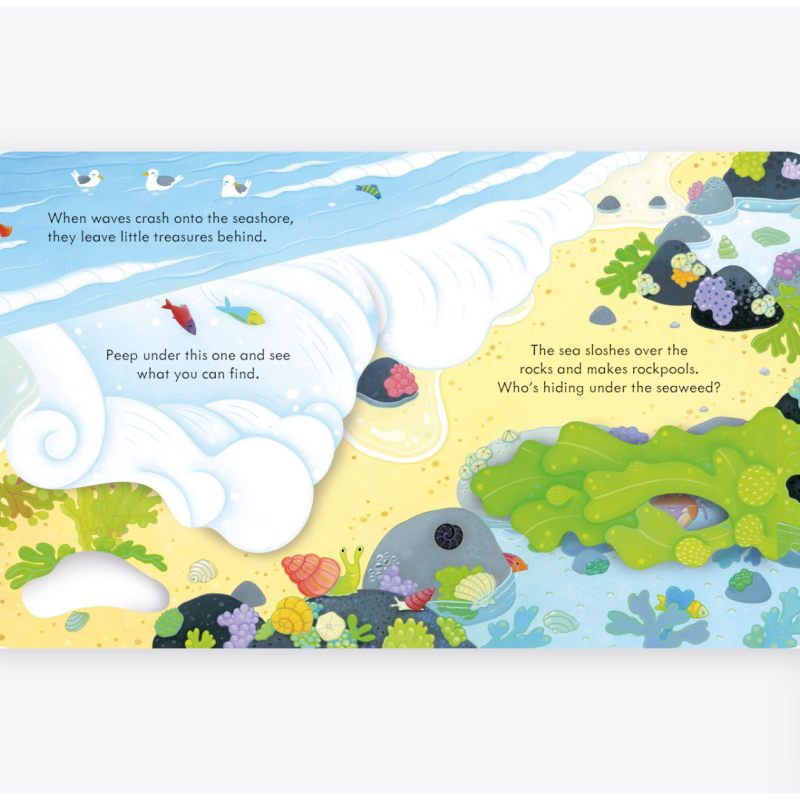 Usborne Peep Inside The Seashore - Daisy Daisy