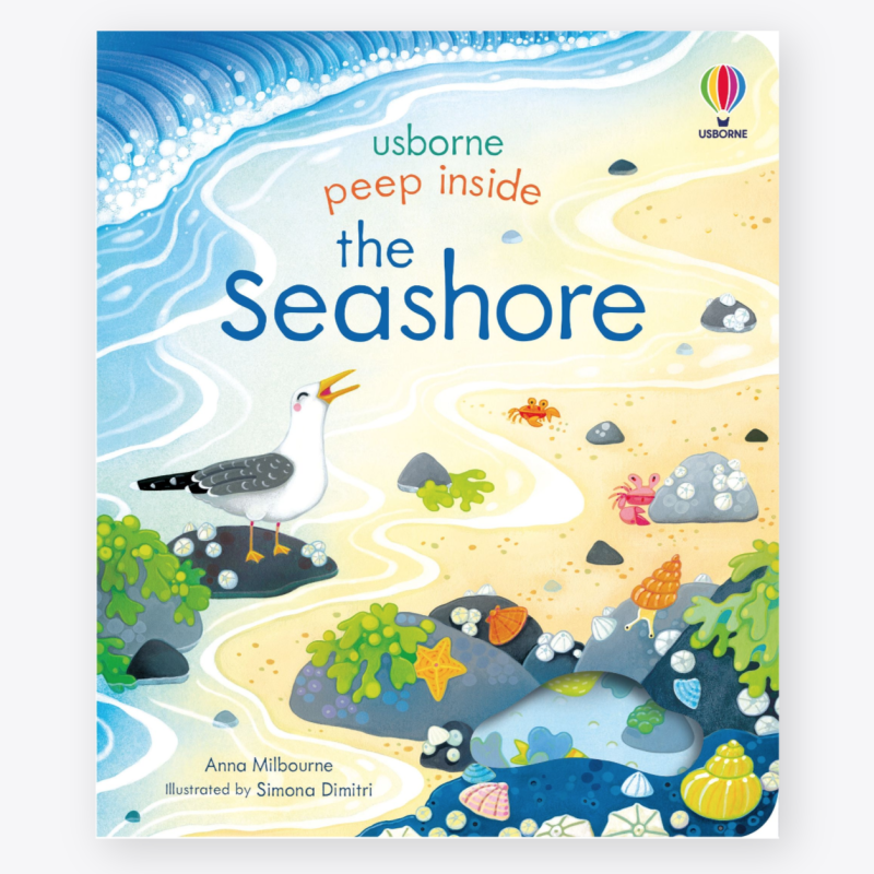 Usborne Peep Inside The Seashore - Daisy Daisy