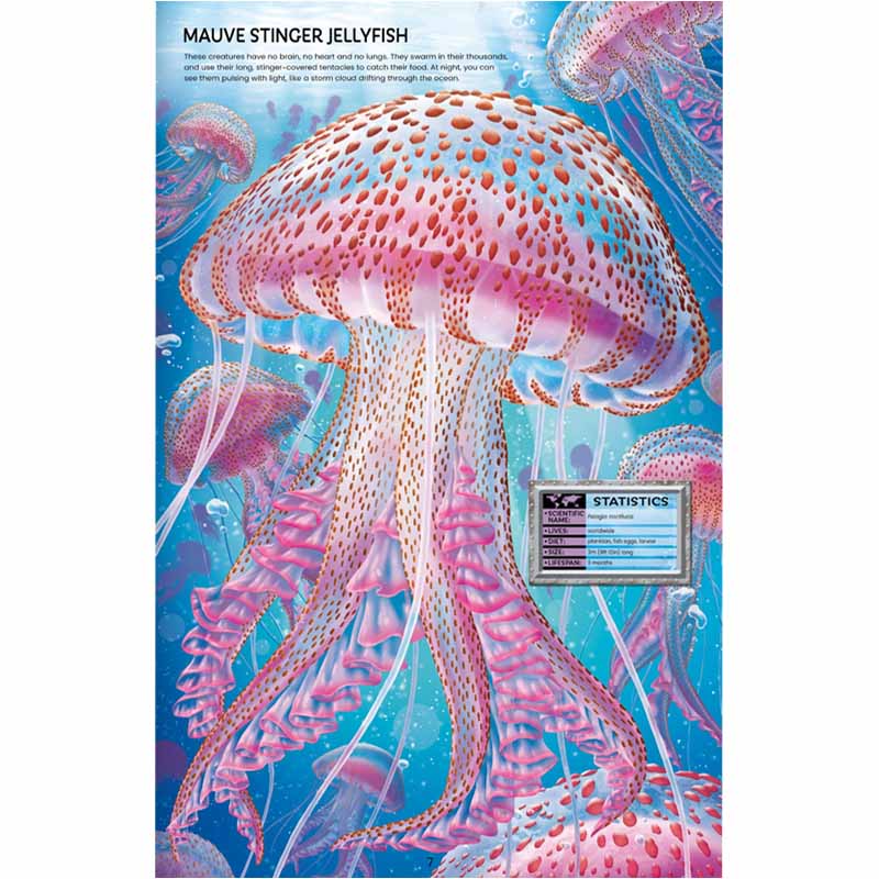 Usborne Build Your Own Sea Creatures Sticker Book - Daisy Daisy