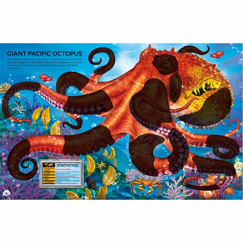 Usborne Build Your Own Sea Creatures Sticker Book - Daisy Daisy