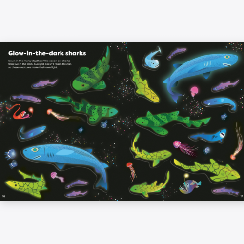 Usborne Big Sticker Book of Sharks - Daisy Daisy